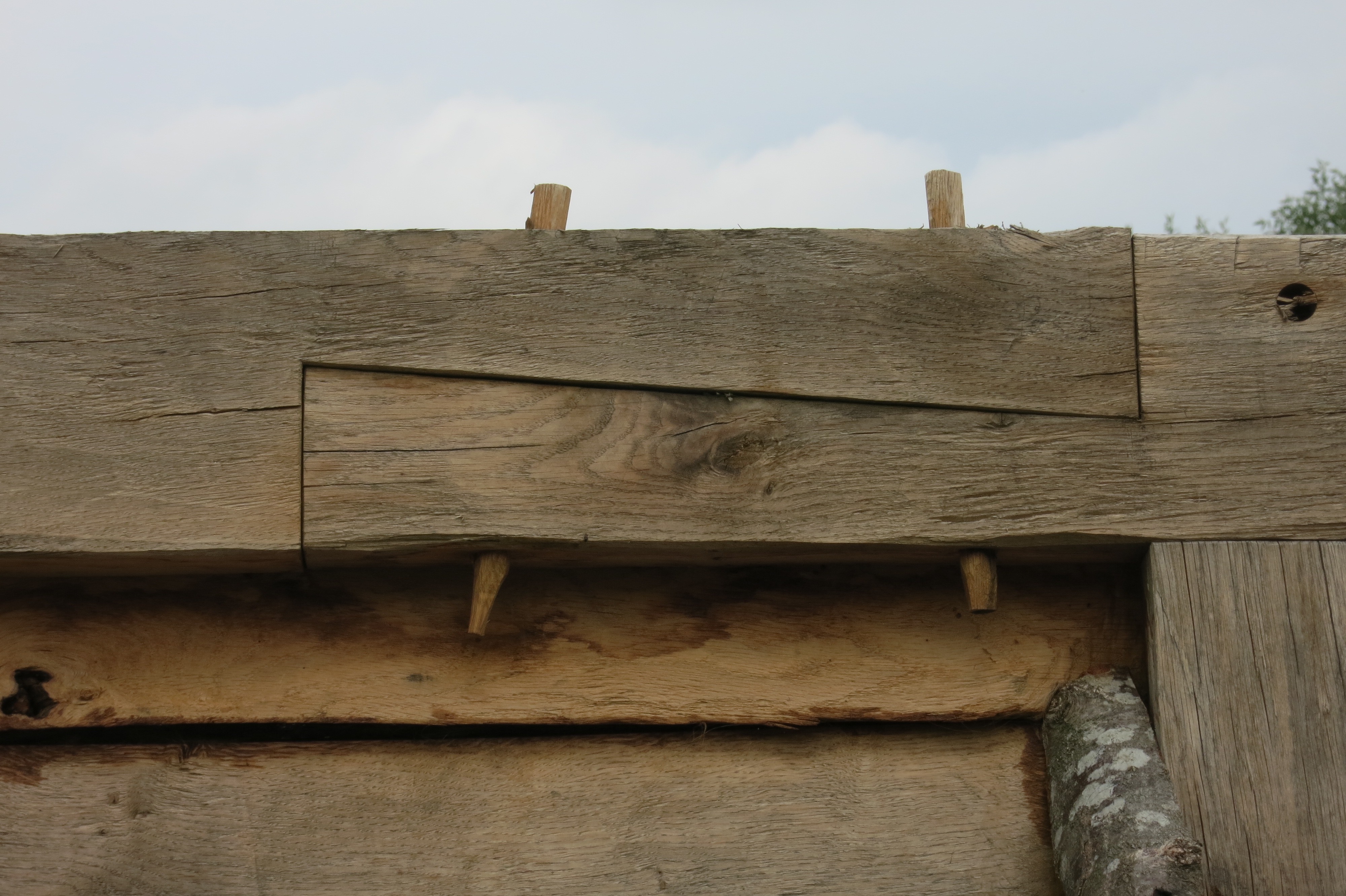 Treenails – The Quiet Workshop